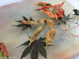 Season to print with leaves - Linda Germain