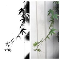 Notan studies - light and dark balance - Linda Germain