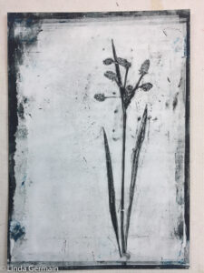 Mixed Media Printmaking Blog - Linda Germain